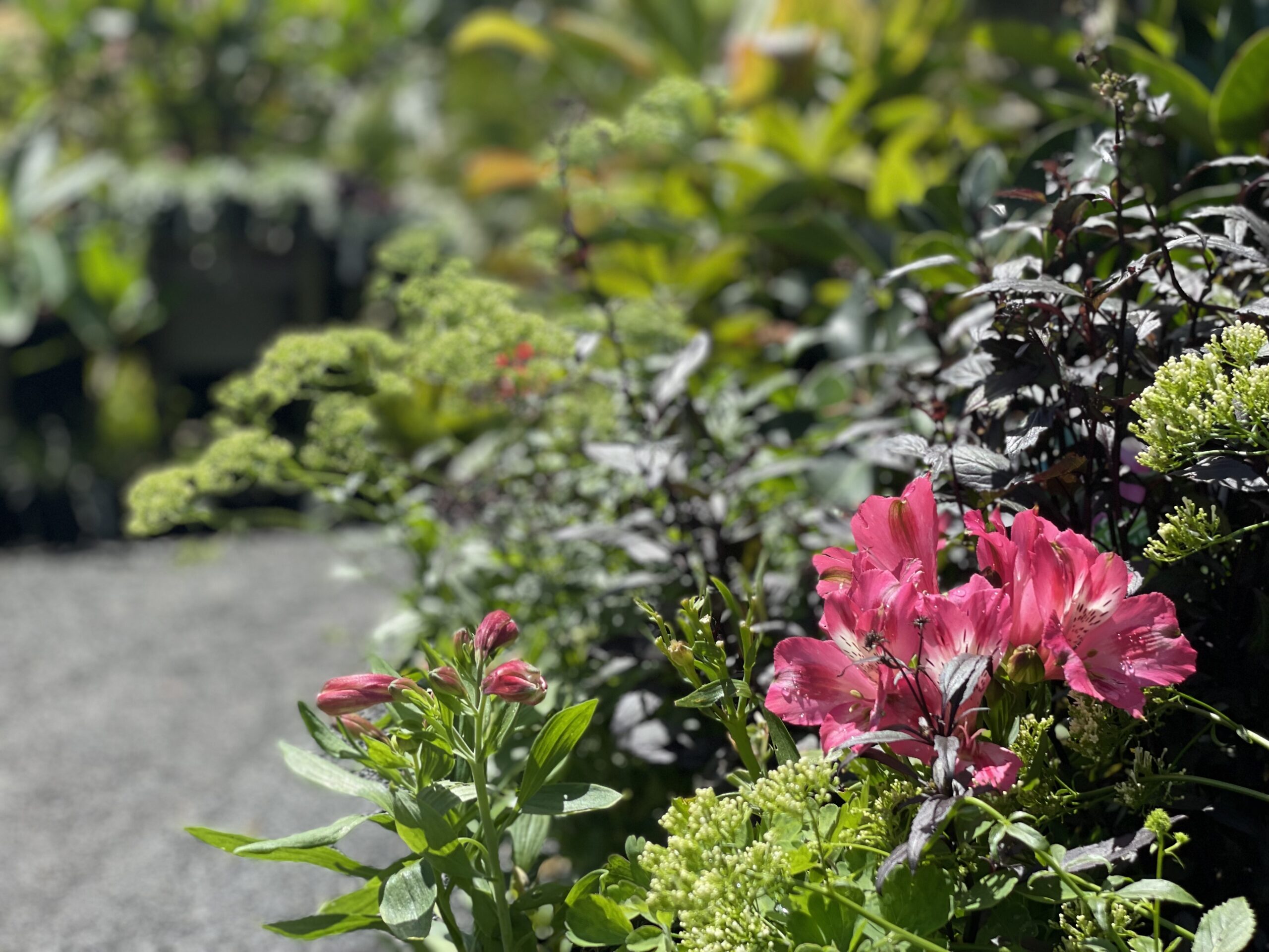 Landscaping Services | Mooi Bosch